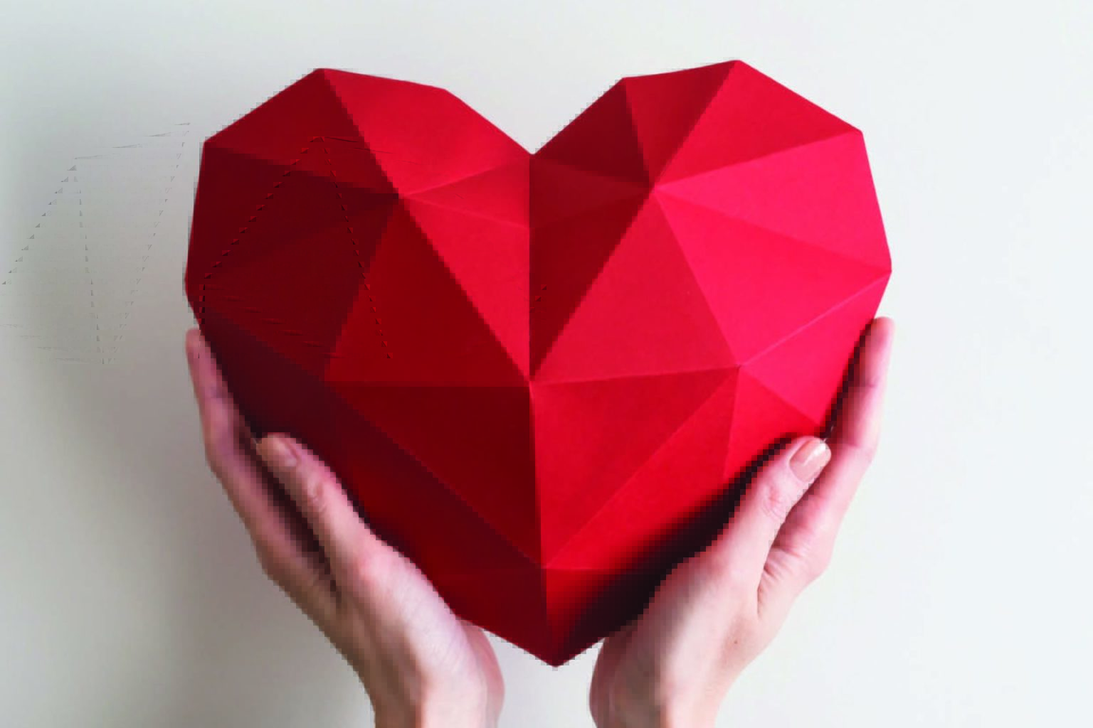 The Perpetual Guardian Foundation | Perpetual Guardian