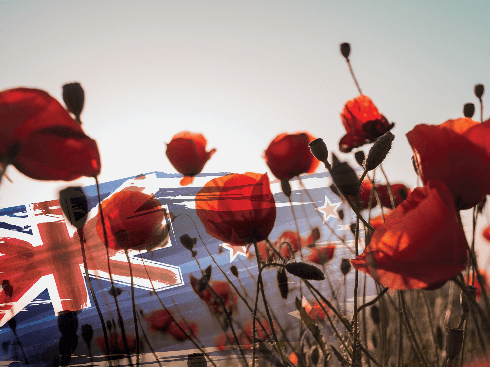 Let's Not Forget - RSA ANZAC fundraiser | Perpetual Guardian