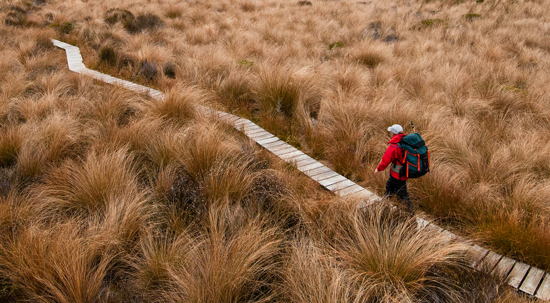 About Us | Perpetual Guardian